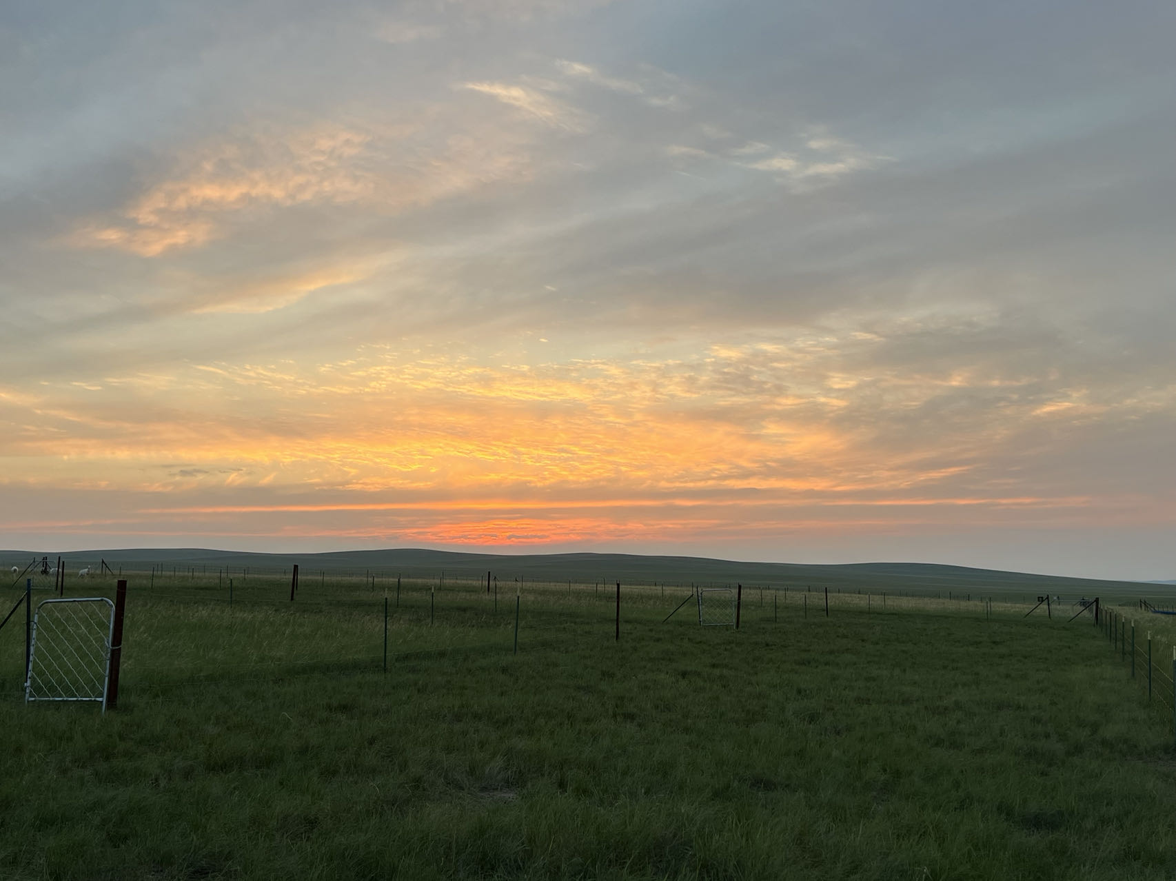 Photos – Grazing Ecology